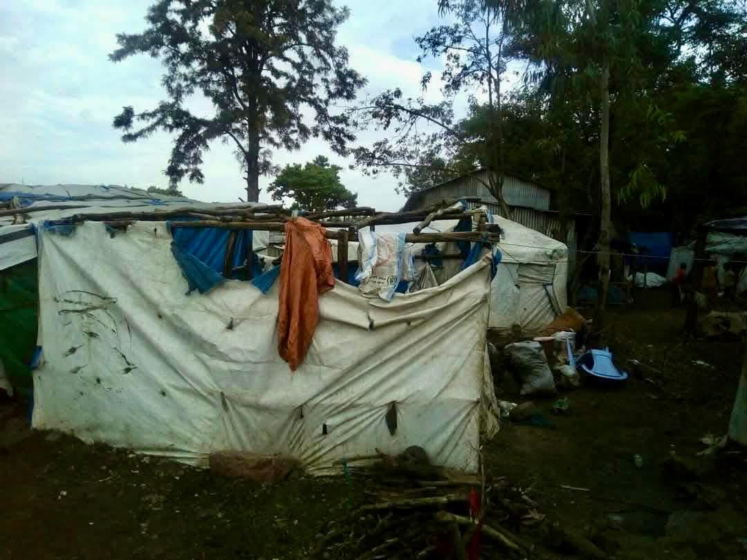 Summary of the Humanitarian Situation in Tigray – Tigray Herald Summary of the Humanitarian Situation in Tigray – Tigray Herald